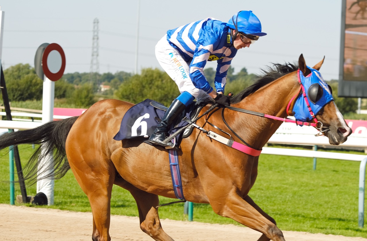 Sandform – All-Weather Horse Racing Information And Tips